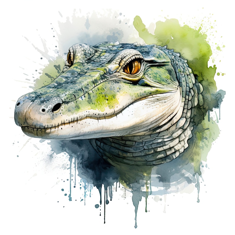 Alligator Clipart Collection: Realistic Crocodile Illustrations ...