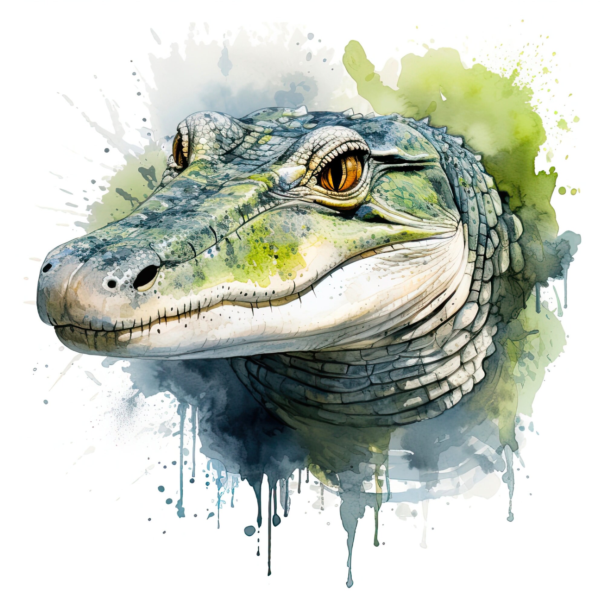Alligator Clipart Collection: Realistic Crocodile Illustrations ...