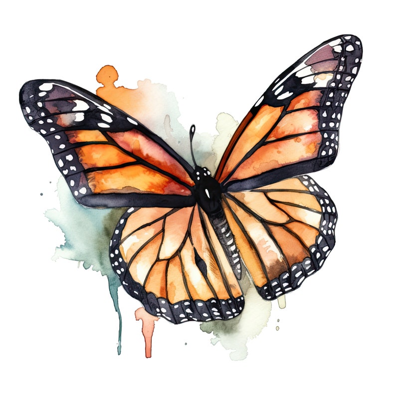 Monarch Butterfly Clip Art 18 High-quality Jpgs - Etsy