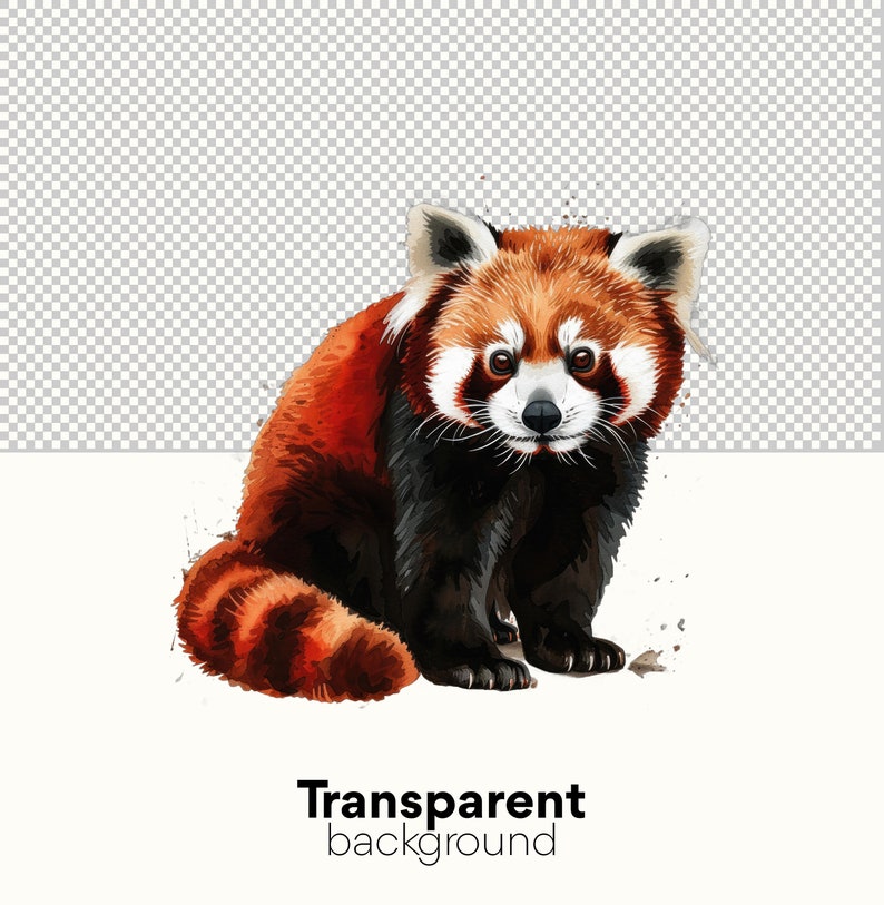 Red Panda Clip Art: Cute Animal Clipart Bundle for Digital Crafting ...
