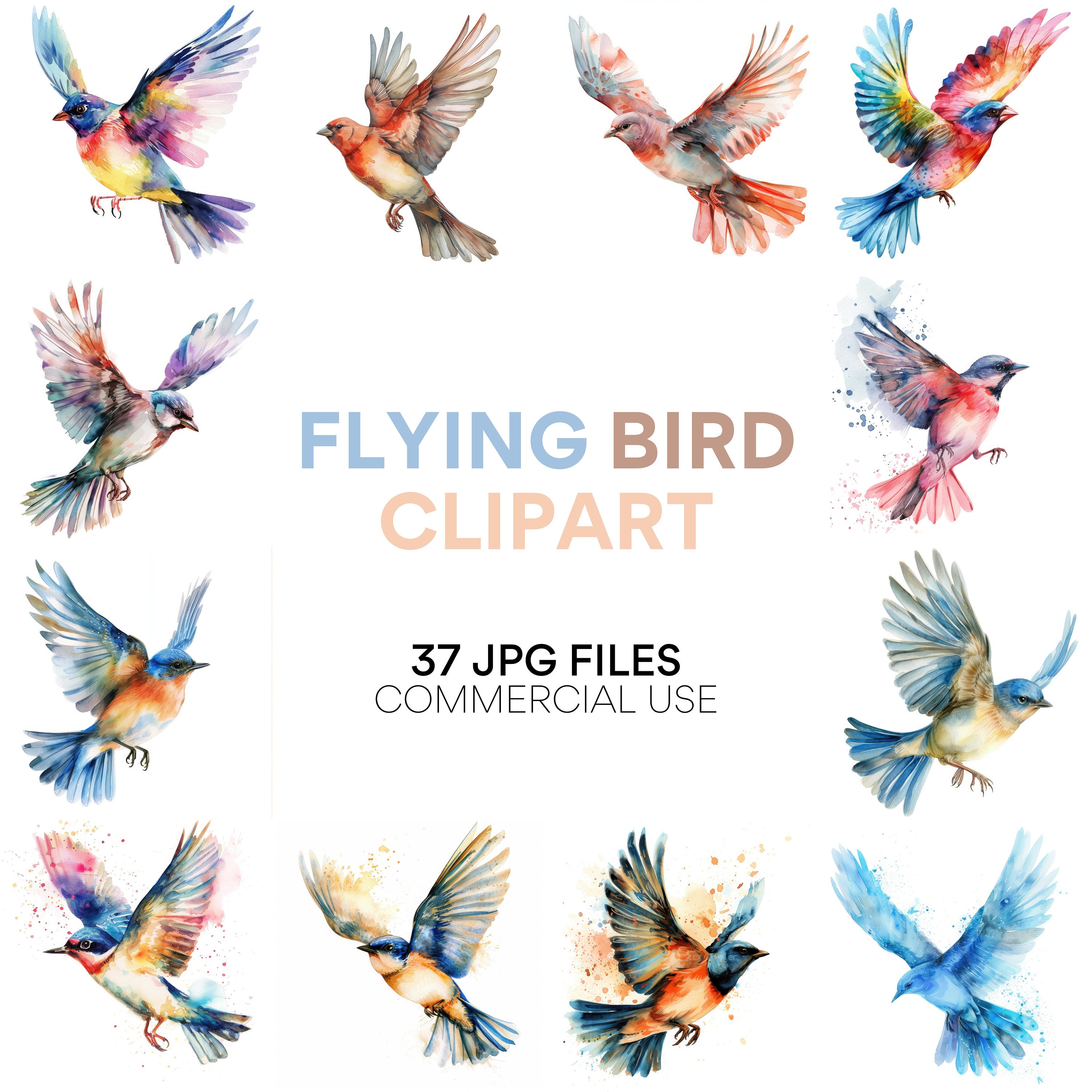 Flying Bird Clipart Set, Colorful Birds, JPG Watercolor Bird Images ...