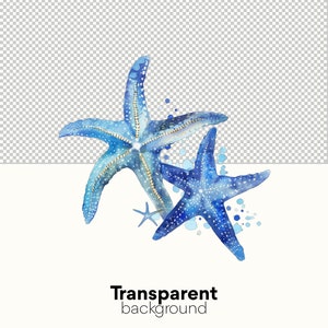 Starfish Clipart: Digital Download, Commercial Use Watercolor Starfish ...