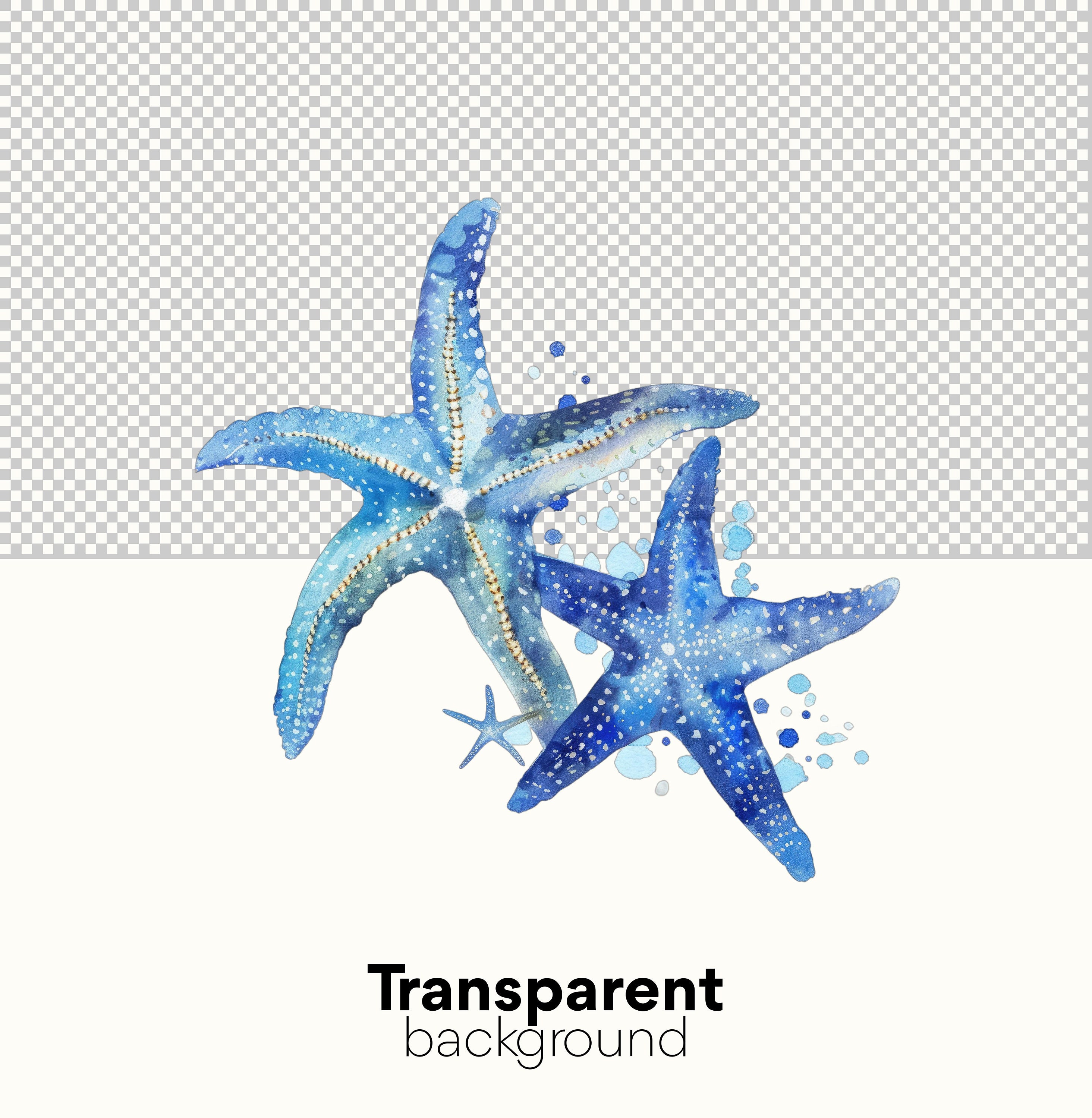 Starfish Clipart: Digital Download, Commercial Use Watercolor Starfish ...