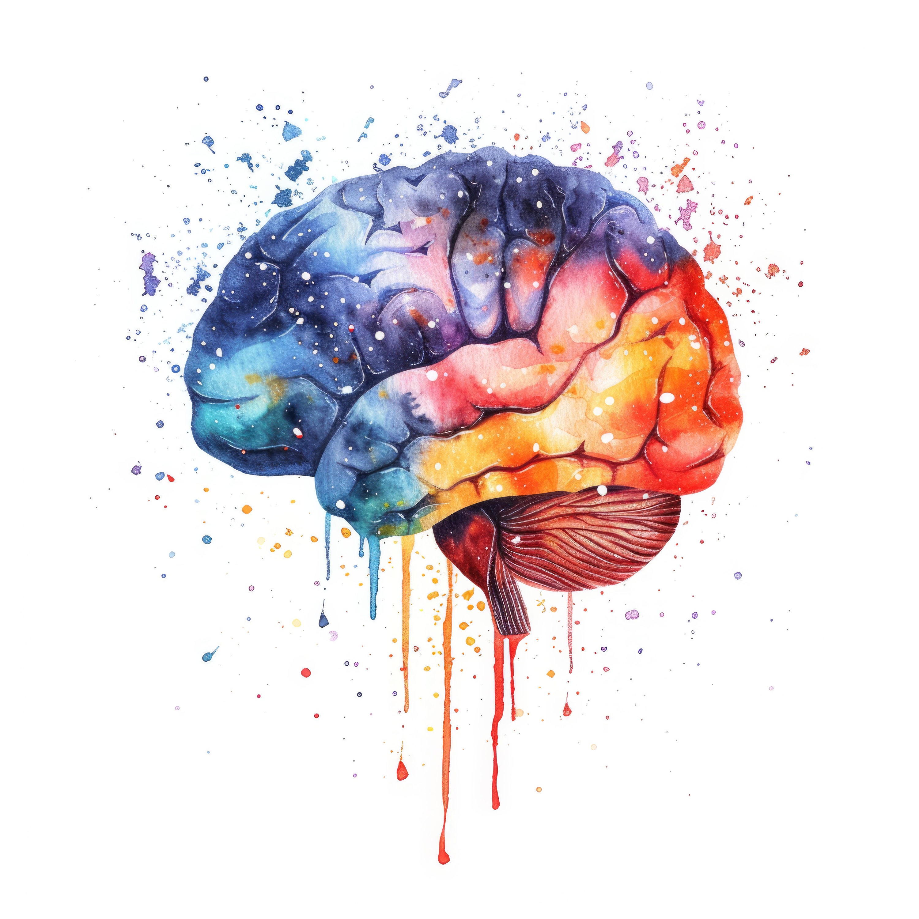 Brain Clipart JPG for Medical Art, Mental Health Diagrams, Spa Clip Art ...