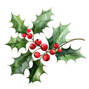 Holly Clip Art Christmas Watercolor Clipart: Holly Leaves, Berries ...