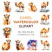 Camel Clipart Pack: Watercolor Clipart Bundle, Desert Clipart for ...