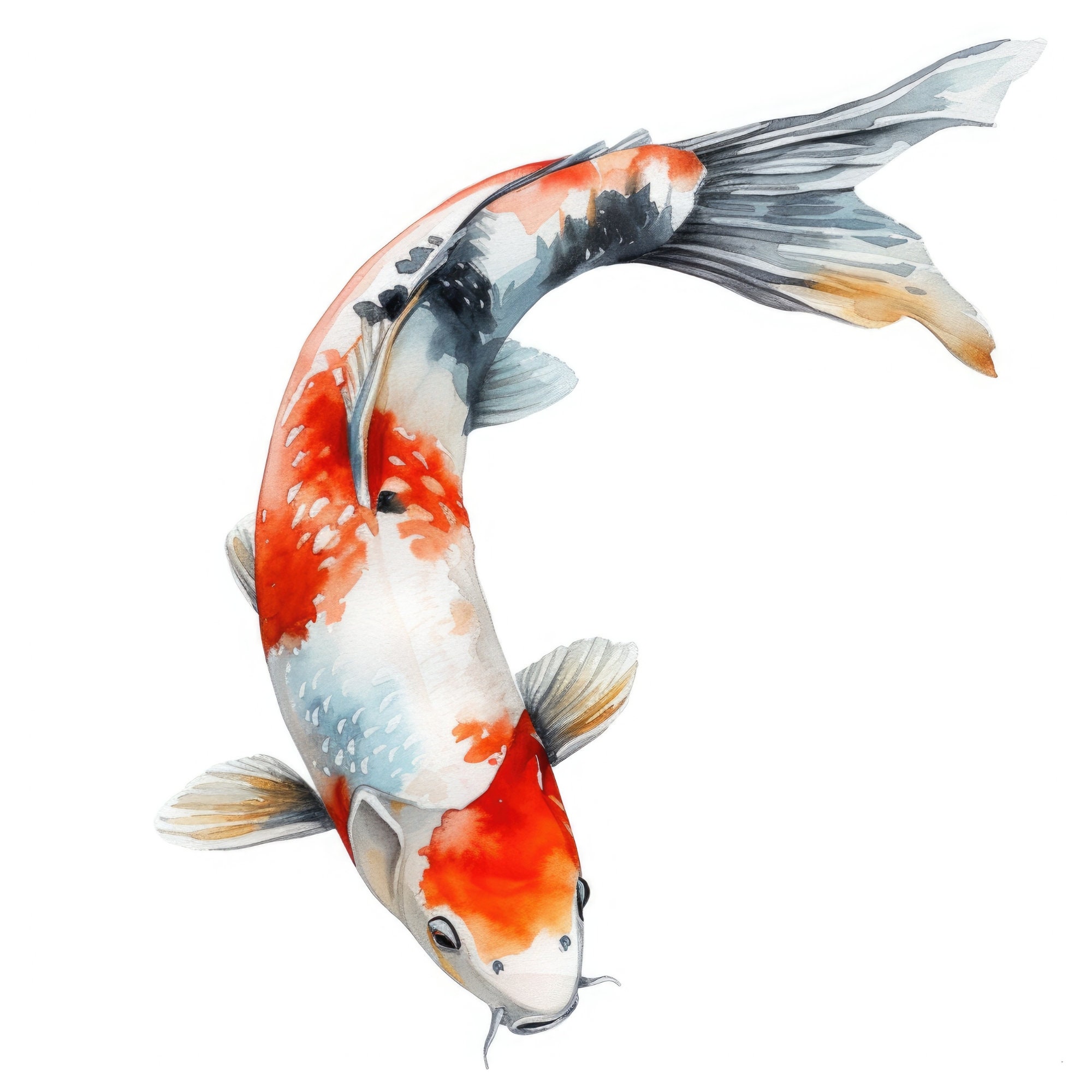 Koi Fish Clipart - Watercolor Japanese Carp Art, Tropical Fish Jpgs ...