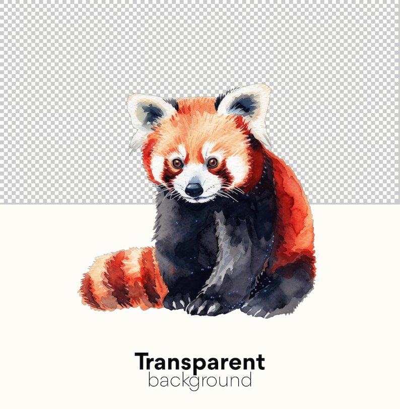 Red Panda Clip Art: Cute Animal Clipart Bundle for Digital Crafting ...