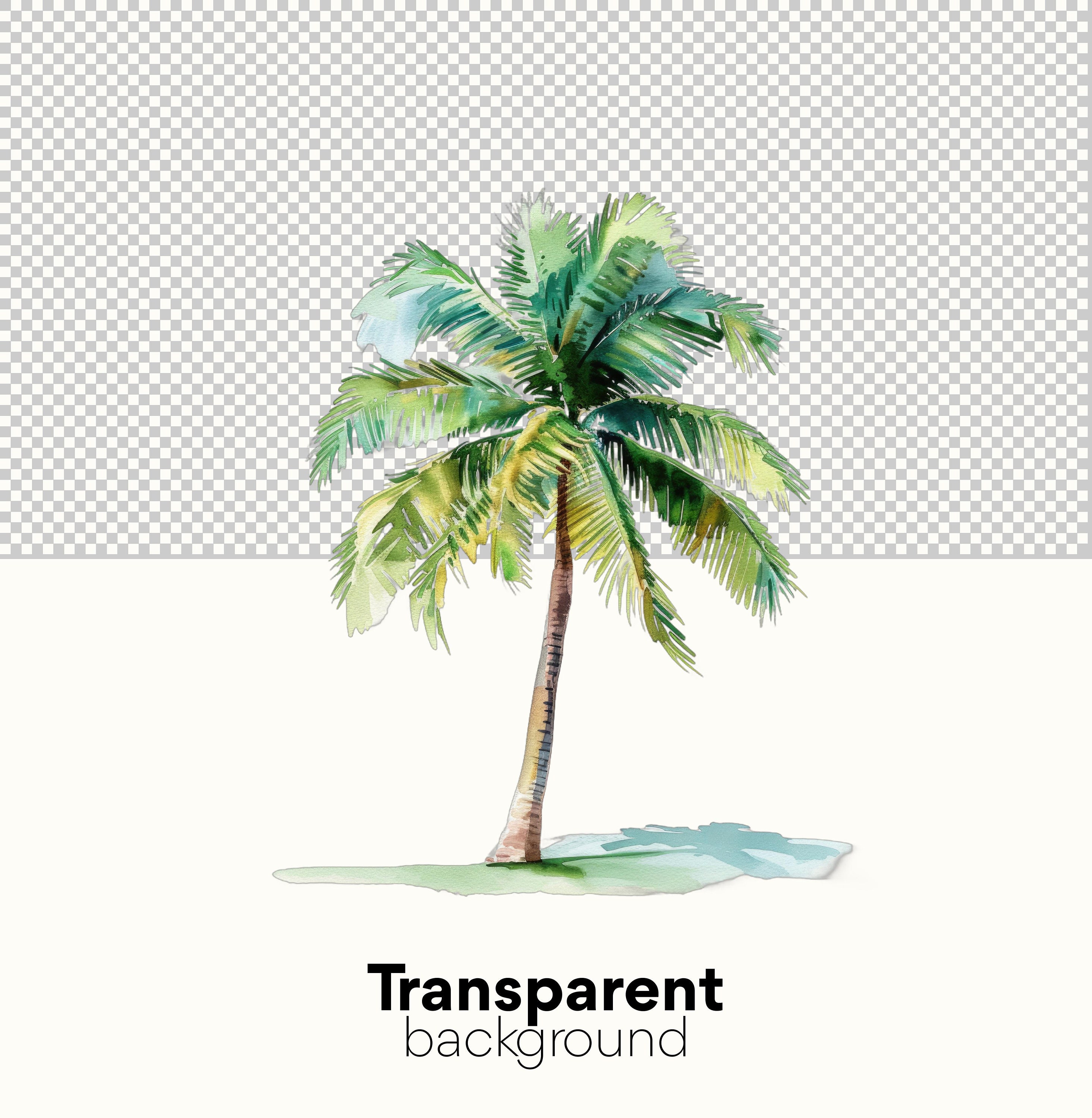 Palm Tree Clipart: Watercolor, Tropical Beach, Digital Download for ...