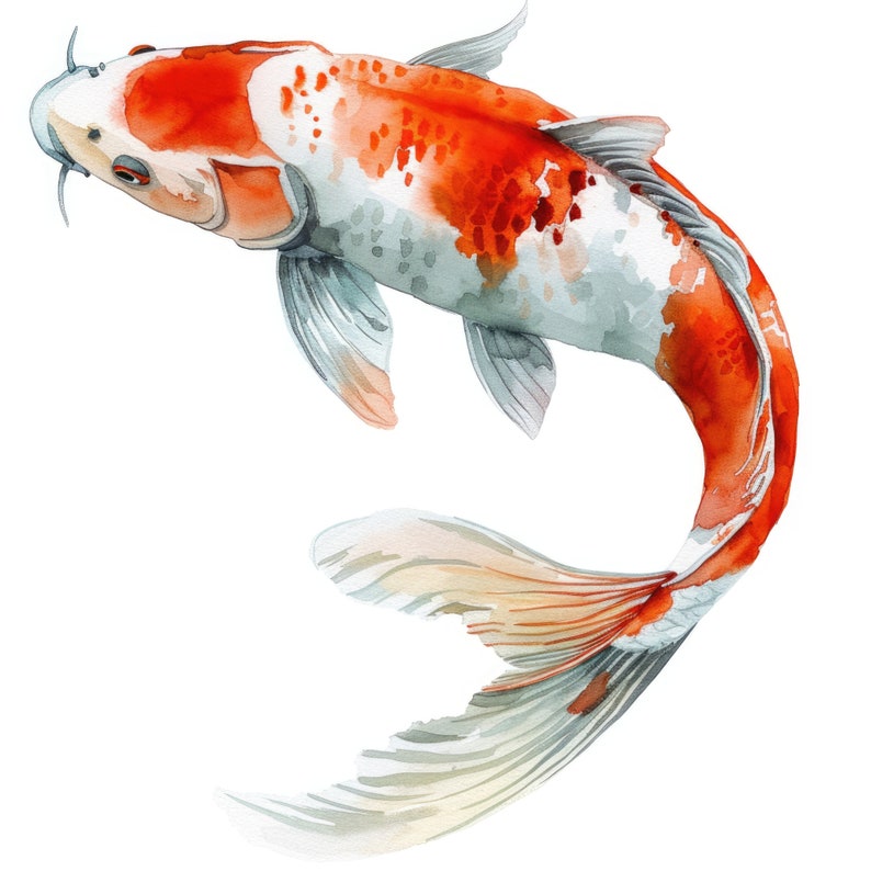 Koi Fish Clipart - Watercolor Japanese Carp Art, Tropical Fish Jpgs ...