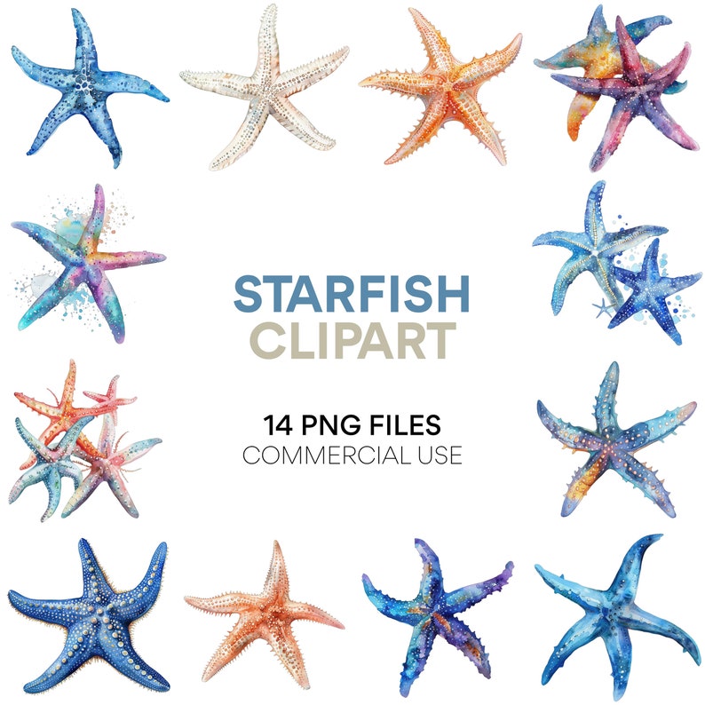 Starfish Clipart: Digital Download, Commercial Use Watercolor Starfish ...