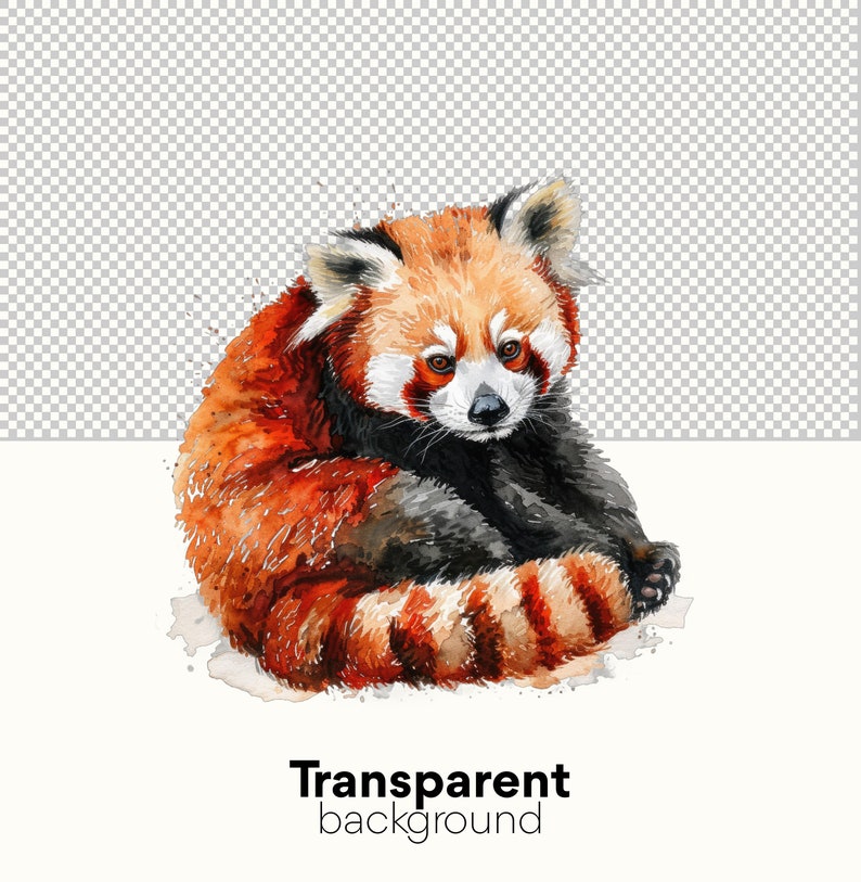 Red Panda Clip Art: Cute Animal Clipart Bundle for Digital Crafting ...