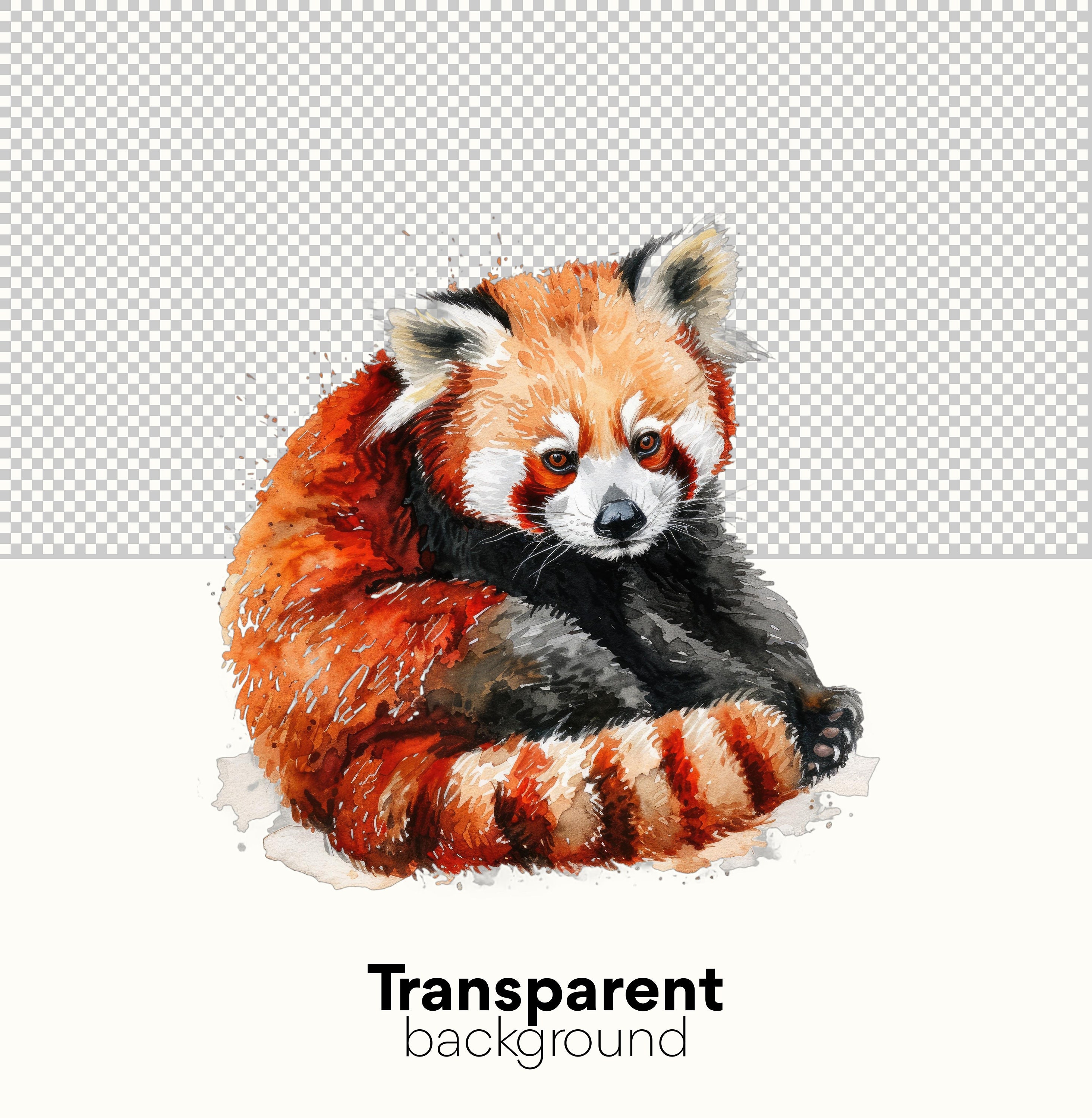 Red Panda Clip Art: Cute Animal Clipart Bundle for Digital Crafting ...