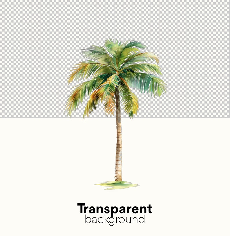 Palm Tree Clipart: Watercolor, Tropical Beach, Digital Download for ...