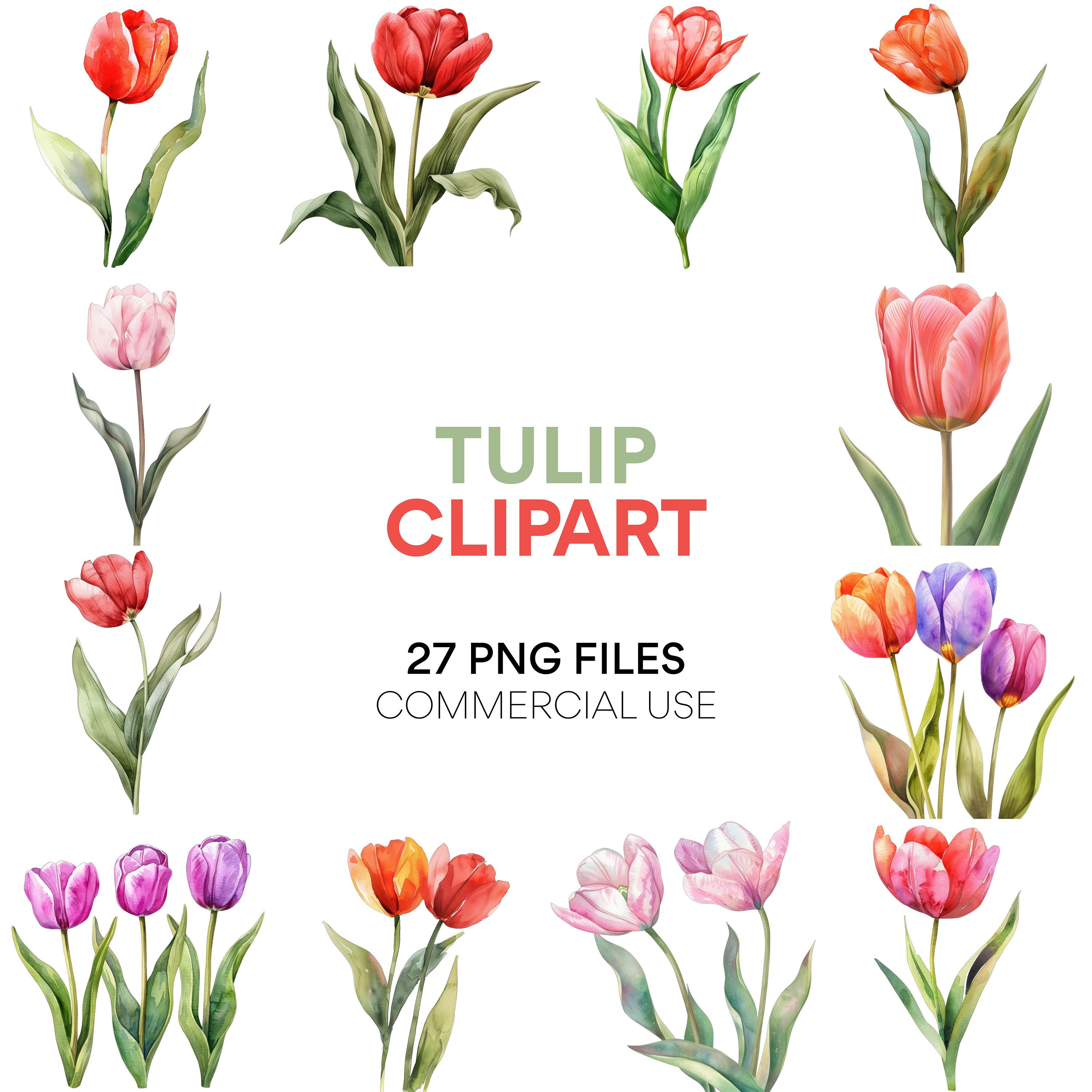 Tulip Clipart Bundle Digital Download, Commercial Use, Watercolor ...