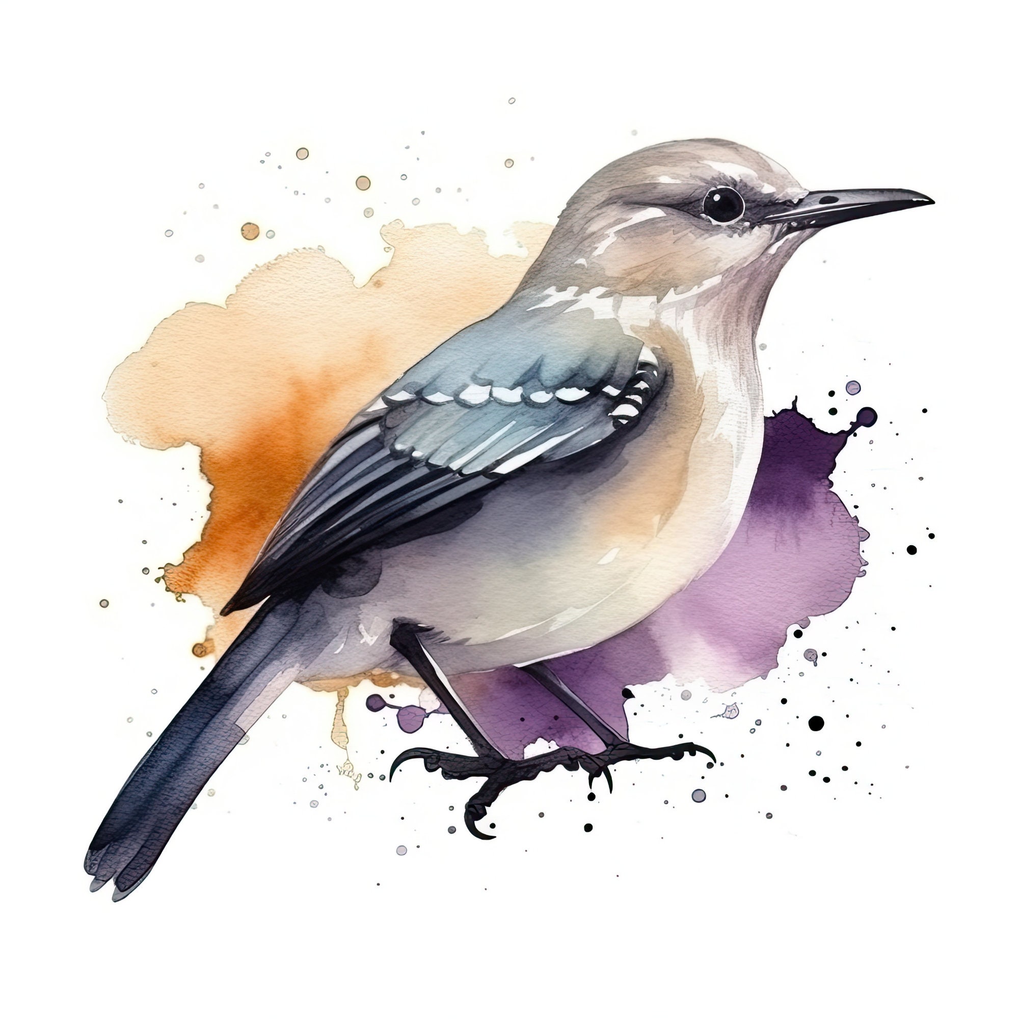 Mockingbird Clipart Pack Northern Mockingbird Clip Art, Instant ...