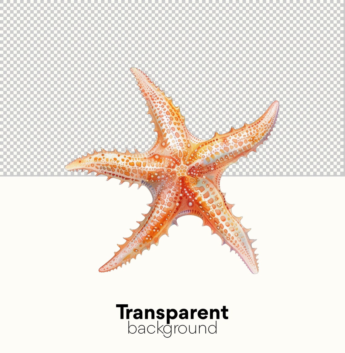 Starfish Clipart: Digital Download, Commercial Use Watercolor Starfish ...