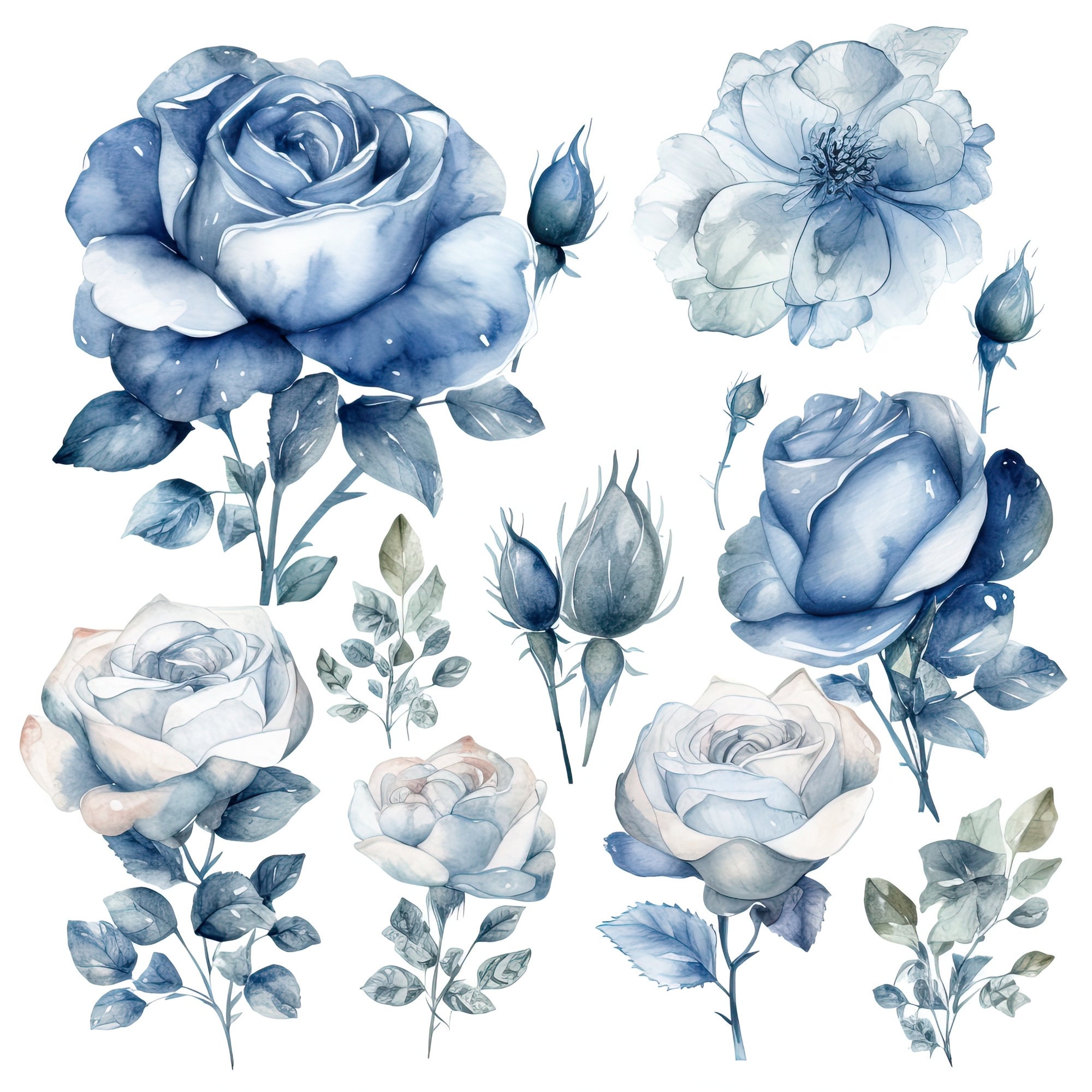 Vintage Blue Roses Clipart | 49 High-quality Jpgs - Watercolor, Digital ...