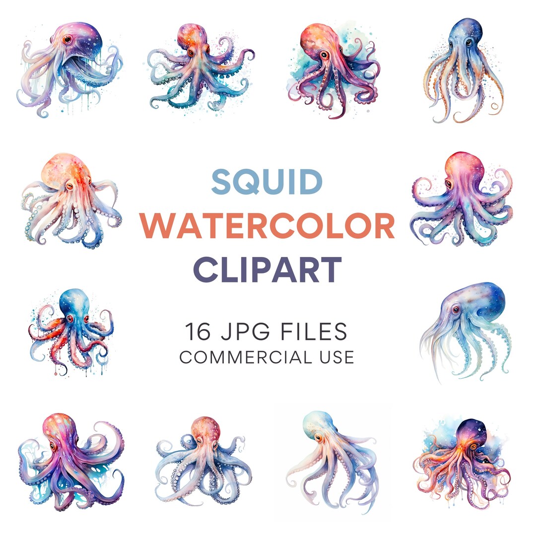 Squid Clipart | 16 High-quality Jpgs - Watercolor, Digital Planners ...