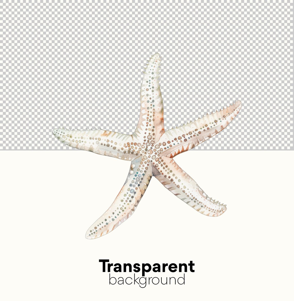 Starfish Clipart: Digital Download, Commercial Use Watercolor Starfish ...
