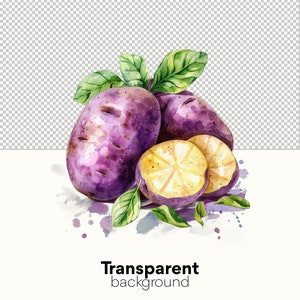 Potato Clipart Pack, Commercial Use Food Clip Art, Watercolor Potato ...