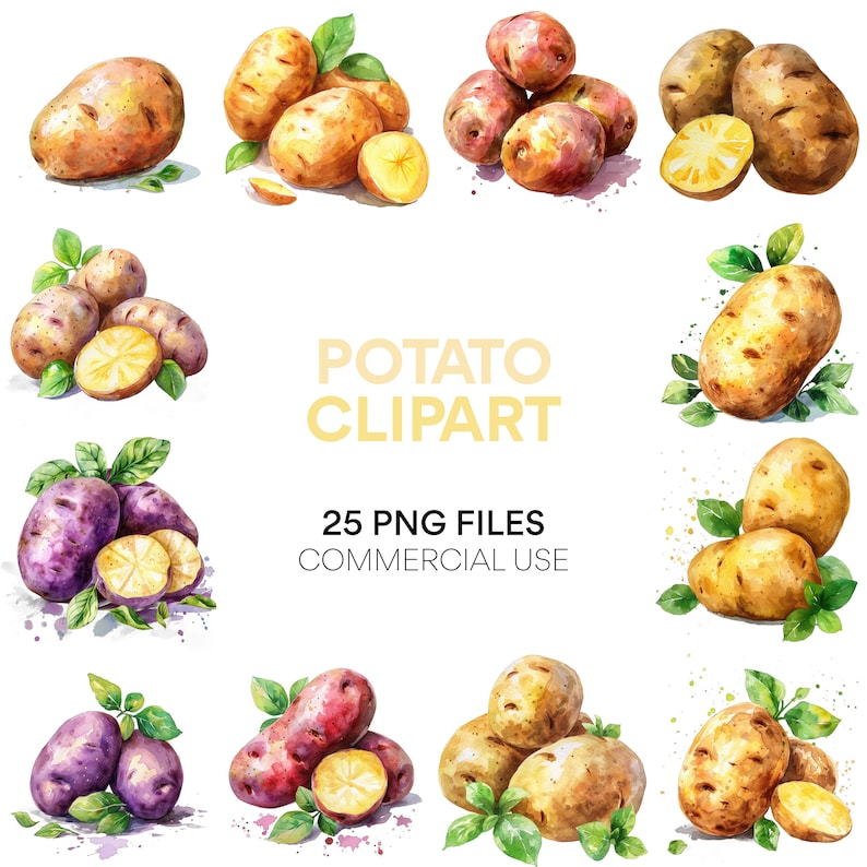 Potato Clipart Pack, Commercial Use Food Clip Art, Watercolor Potato ...