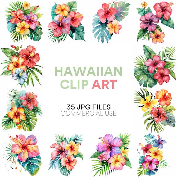 Luau Bloemen Clipart 786 Hawaii Luau High Res Illustrations Getty