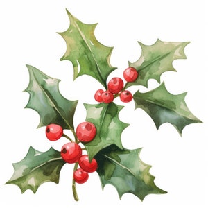 Holly Clip Art Christmas Watercolor Clipart: Holly Leaves, Berries ...