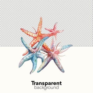 Starfish Clipart: Digital Download, Commercial Use Watercolor Starfish ...