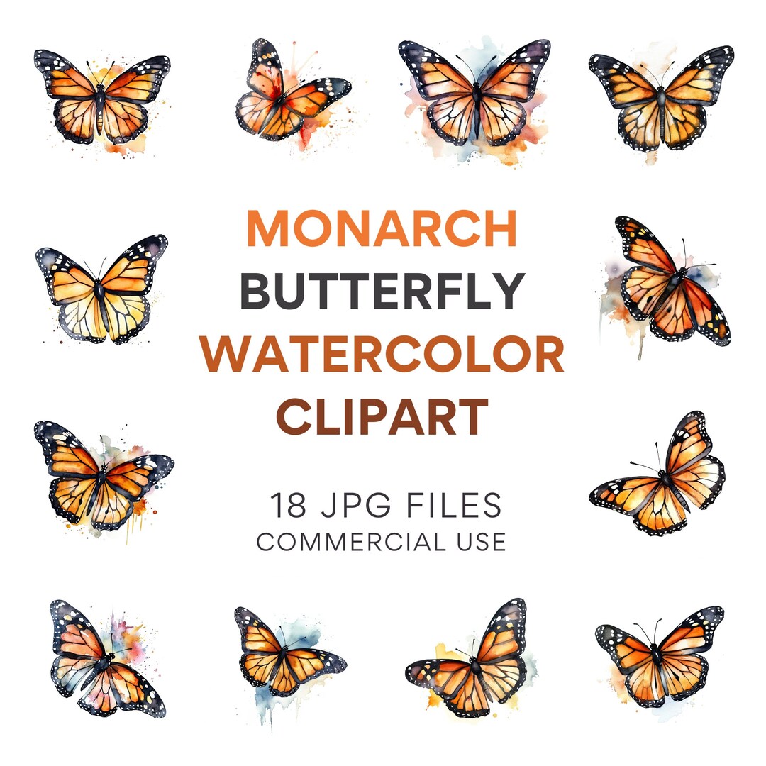 Monarch Butterfly Clip Art | 18 High-quality Jpgs - Watercolor, Digital ...