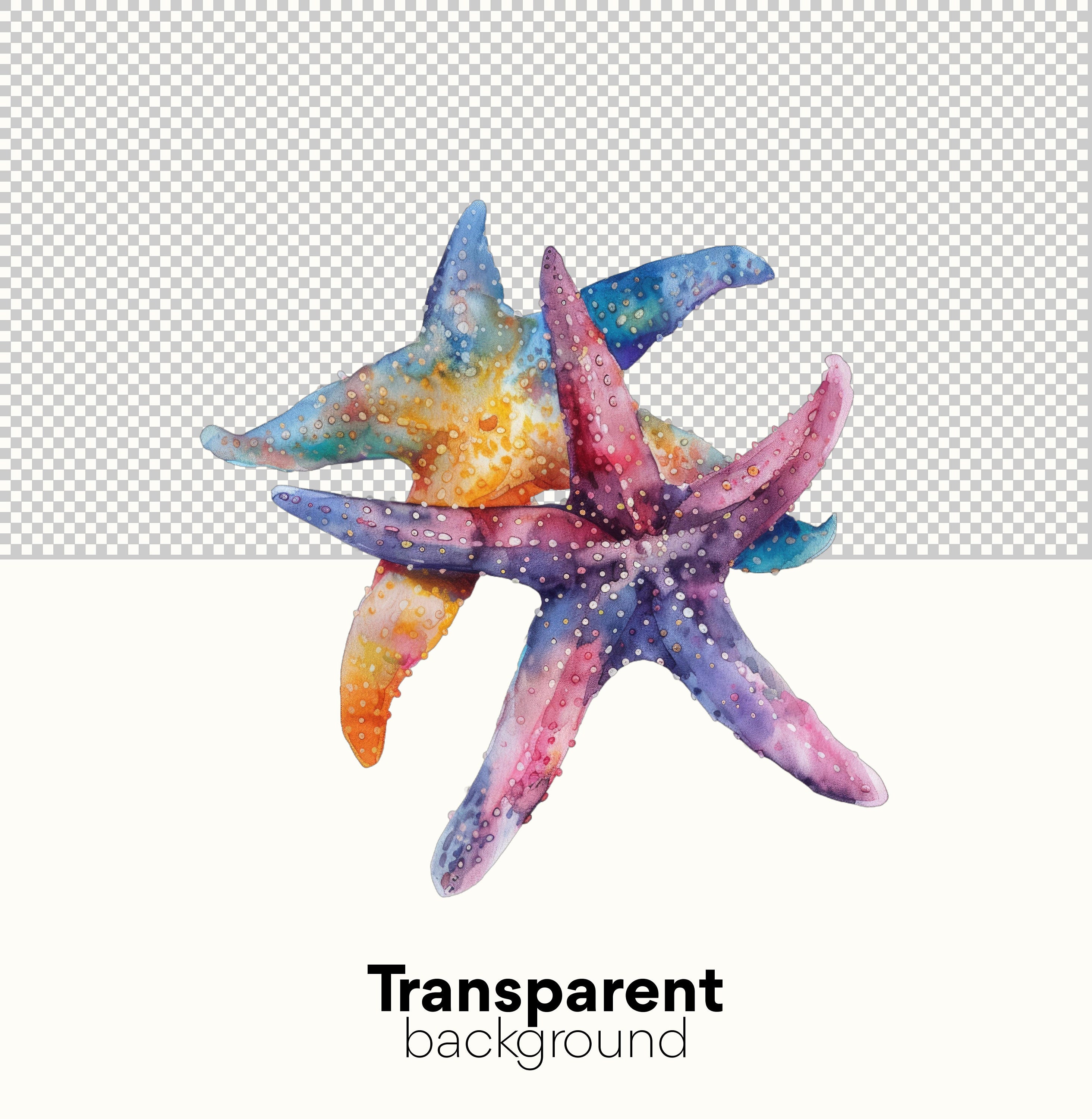 Starfish Clipart: Digital Download, Commercial Use Watercolor Starfish ...