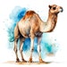 Camel Clipart Pack: Watercolor Clipart Bundle, Desert Clipart for ...