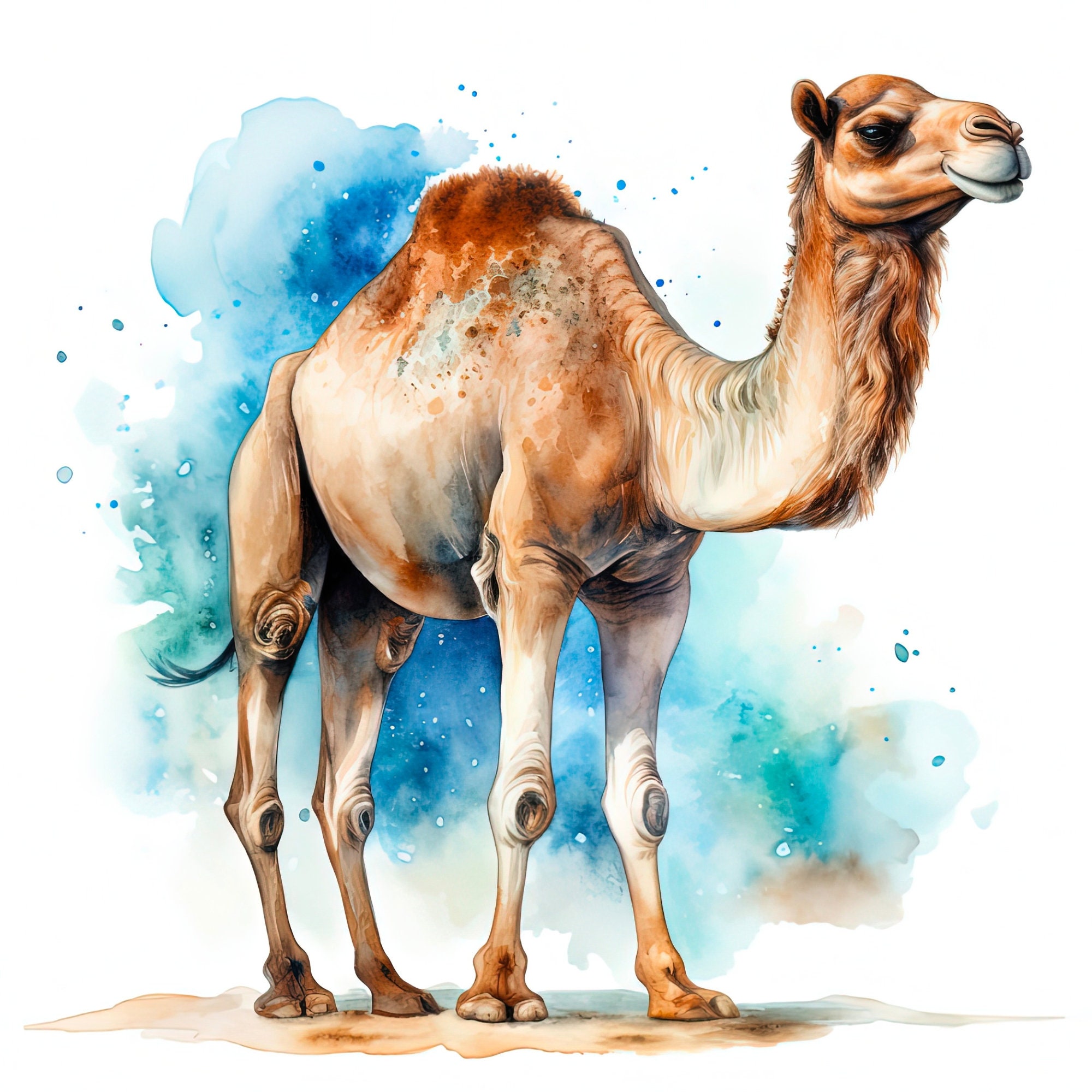 Camel Clipart Pack: Watercolor Clipart Bundle, Desert Clipart for ...
