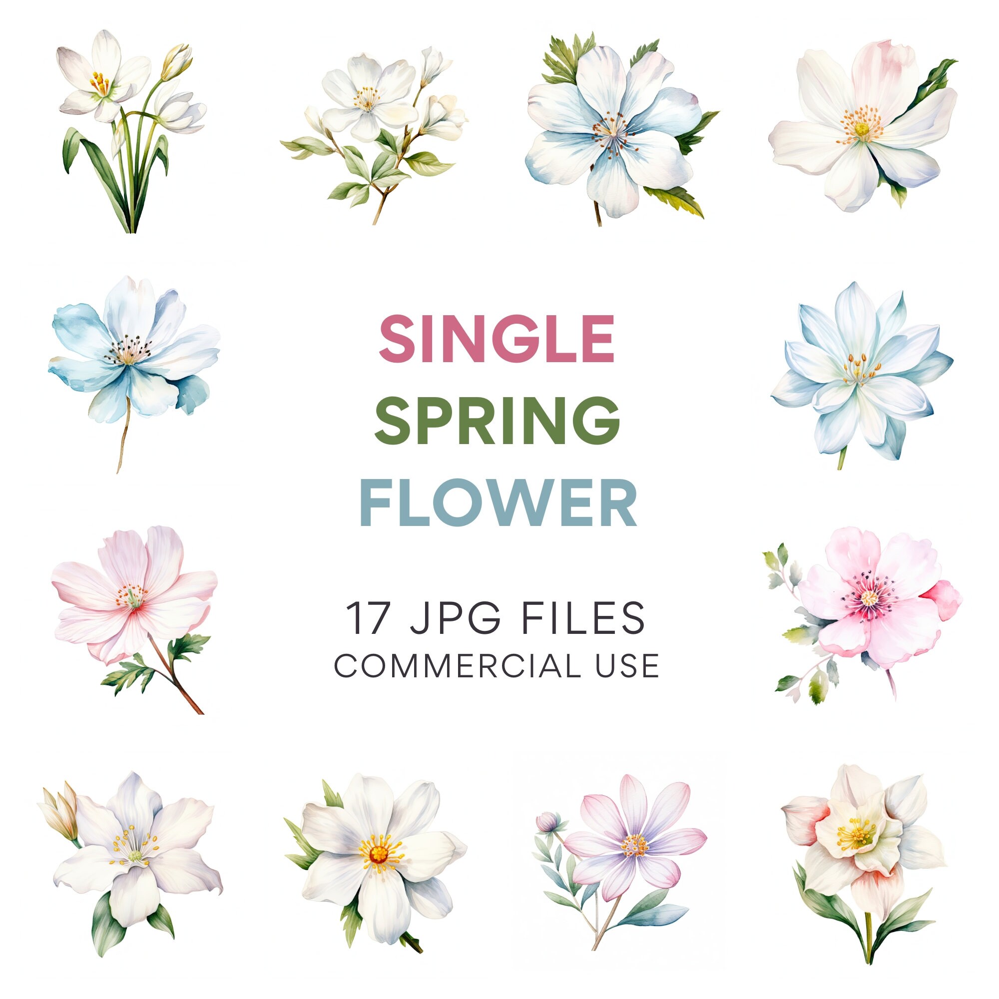Single Spring Flower Clip Art 17 High-quality Jpgs Watercolor, Junk ...