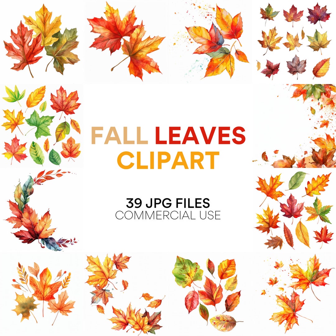 Fall Leaves Clipart: Autumn Clipart, Watercolor Leaves for Digital ...