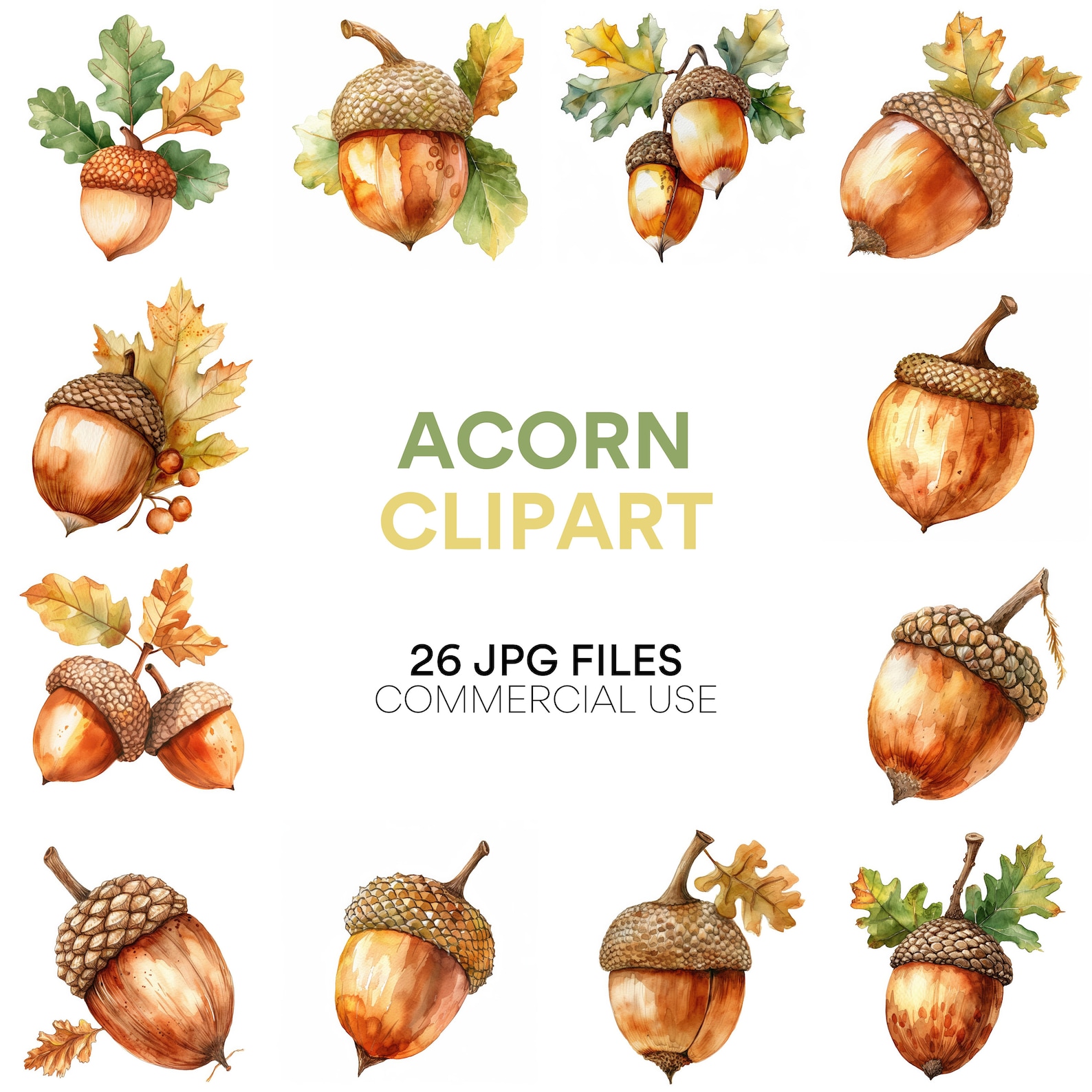 Acorn Clipart, Watercolor Autumn Leaves, Oak Fall Clipart, Digital ...