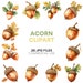 Acorn Clipart, Watercolor Autumn Leaves, Oak Fall Clipart, Digital ...