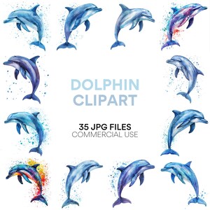 Dolphin Clipart Bundle: Watercolor Dolphin, Ocean Animals Digital ...