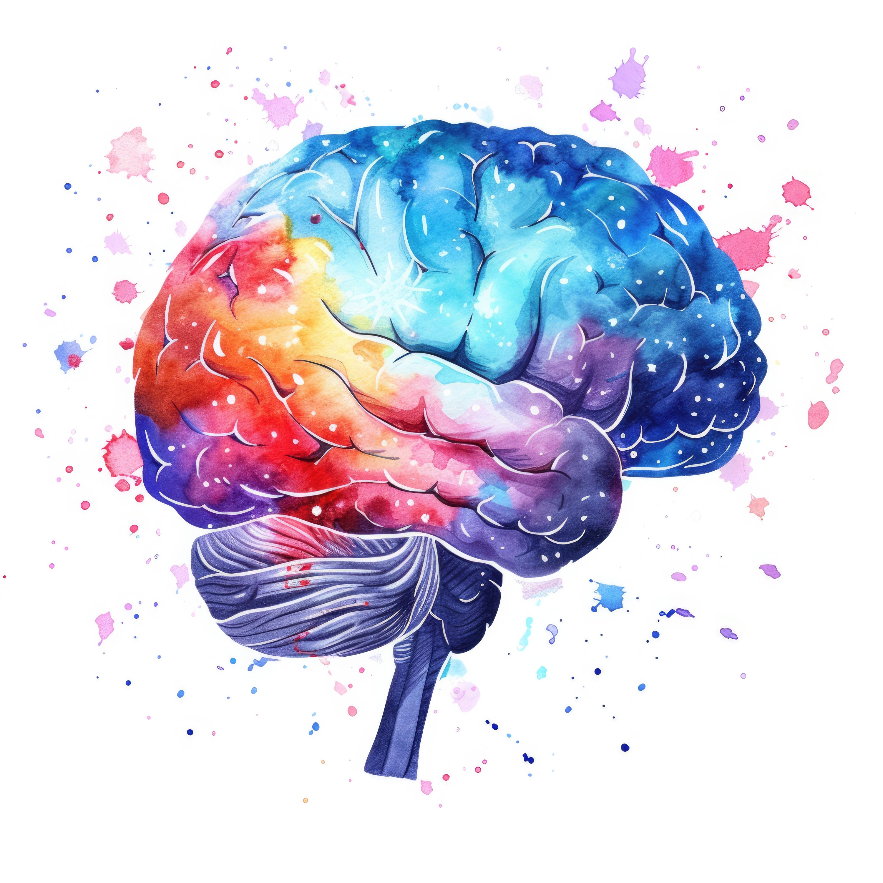 Brain Clipart JPG for Medical Art, Mental Health Diagrams, Spa Clip Art ...