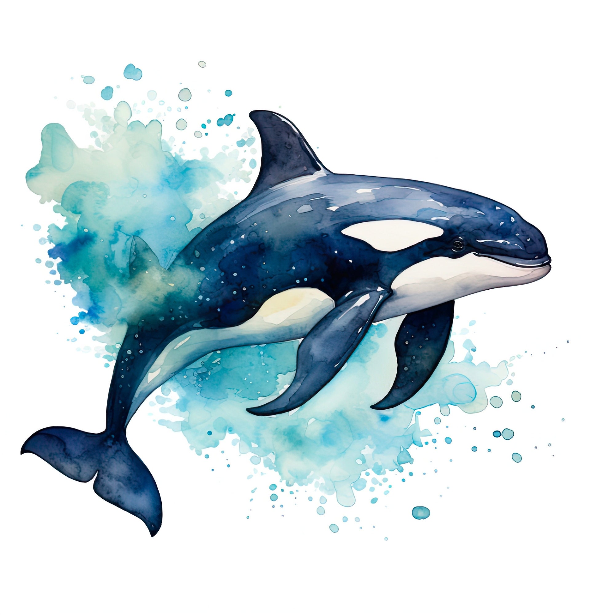 Orca Clipart: Killer Whale, Narwhal & Underwater Watercolor Clipart ...