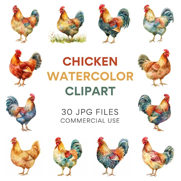 Digital Chicken Clipart - Etsy