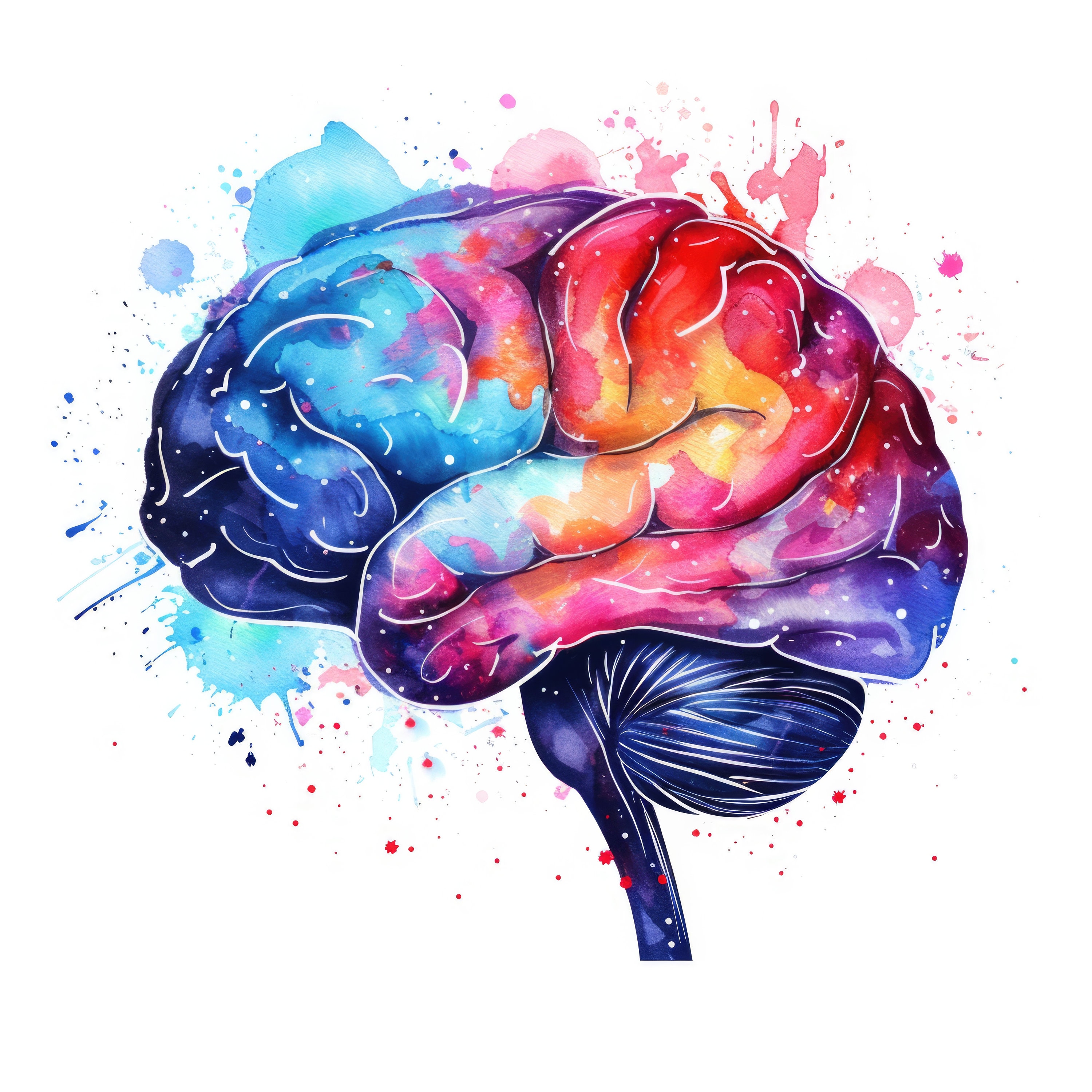 Brain Clipart JPG for Medical Art, Mental Health Diagrams, Spa Clip Art ...