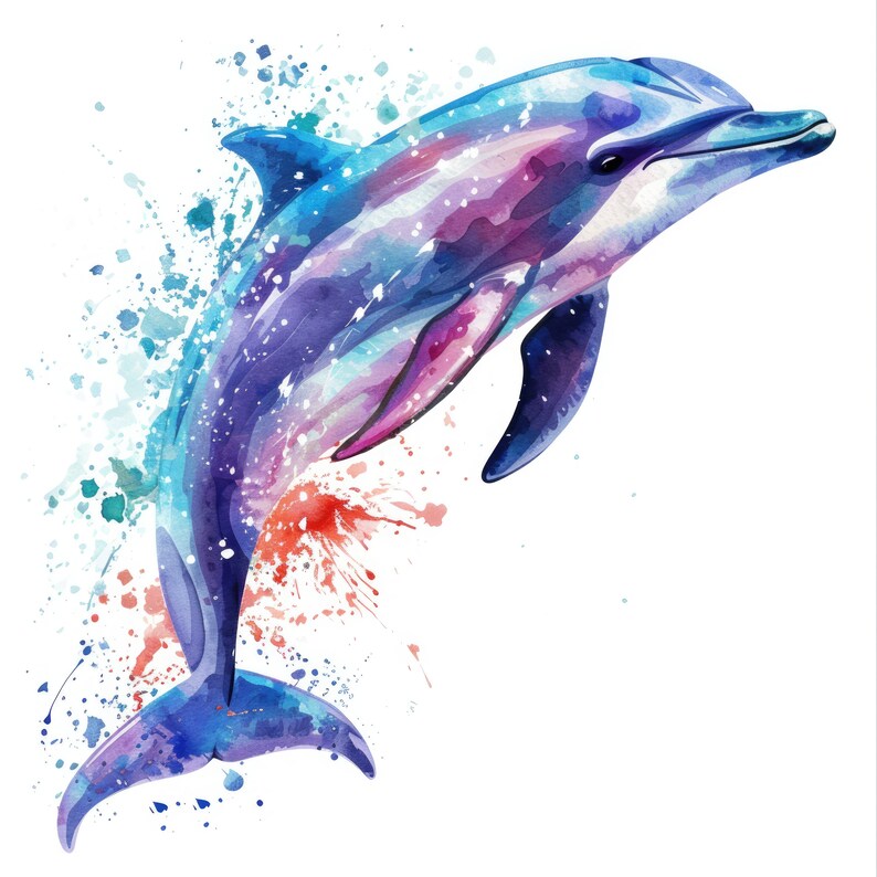Dolphin Clipart Bundle: Watercolor Dolphin, Ocean Animals Digital ...