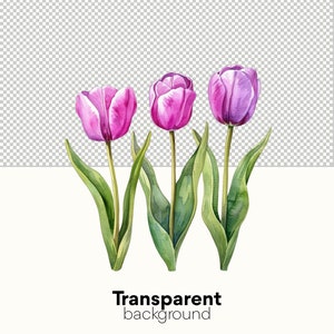 Tulip Clipart Bundle Digital Download, Commercial Use, Watercolor ...