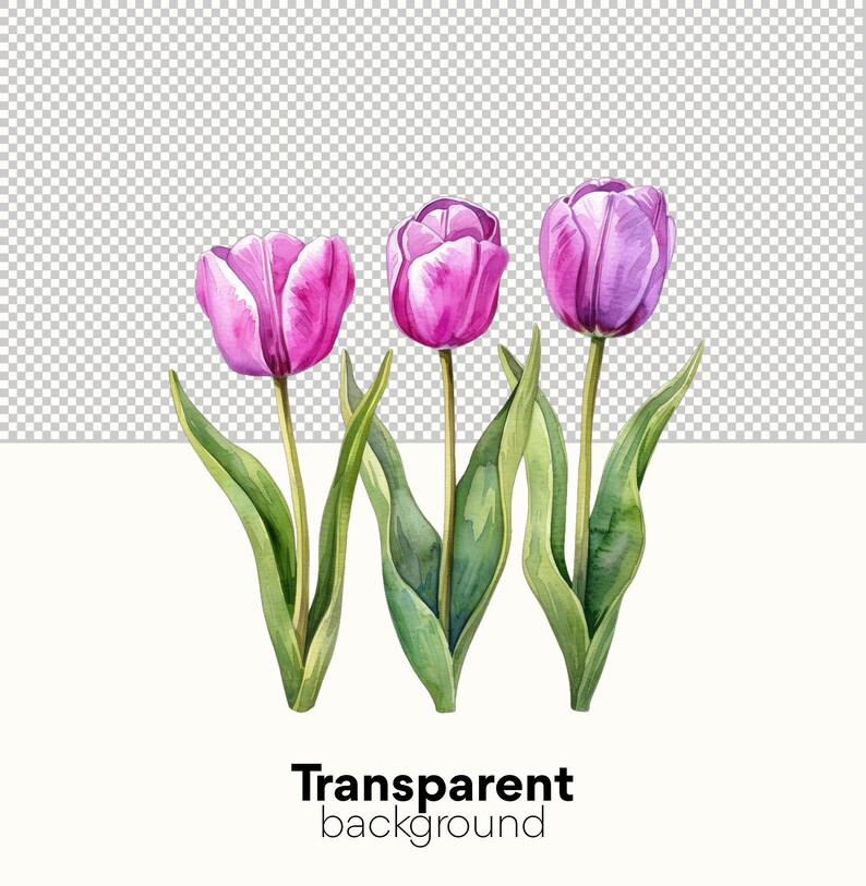 Tulip Clipart Bundle Digital Download, Commercial Use, Watercolor ...