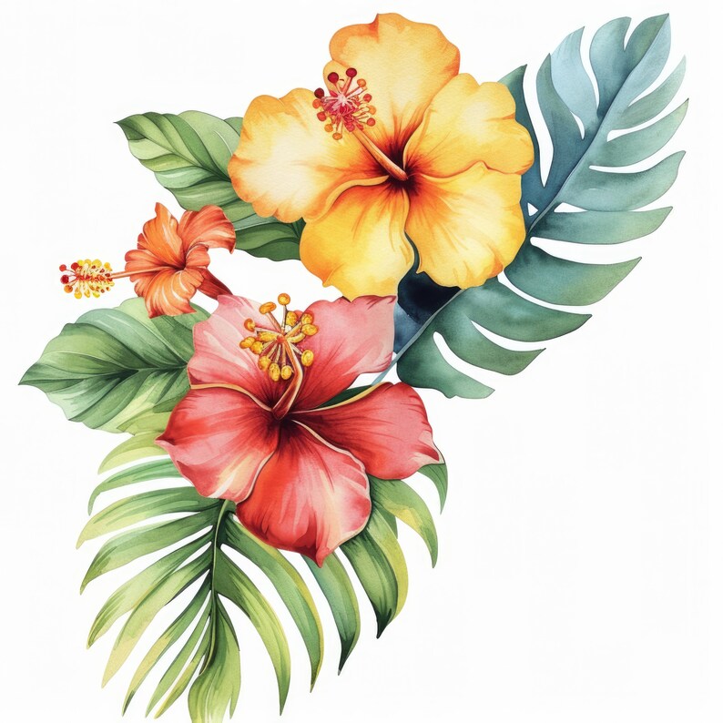 Hawaiian Flower Clipart: Hibiscus Graphics, Luau & Summer Tropical Art ...