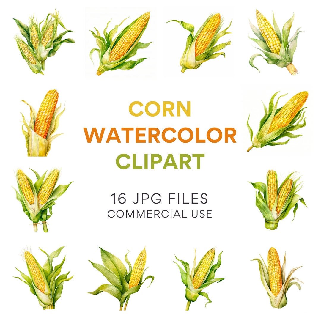 Corn Clipart Bundle: Watercolor Corn, Food & Fall Clipart, Digital ...