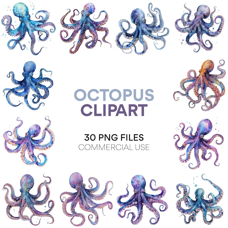 Octopus Clipart - Etsy