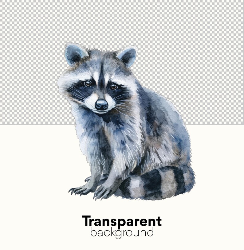 Raccoon Clipart Pack: Watercolor Raccoon PNG Digital Download for ...
