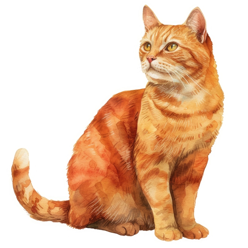 Orange Cat Clipart: Watercolor Kitten, Cat Cliparts Bundle, Commercial ...